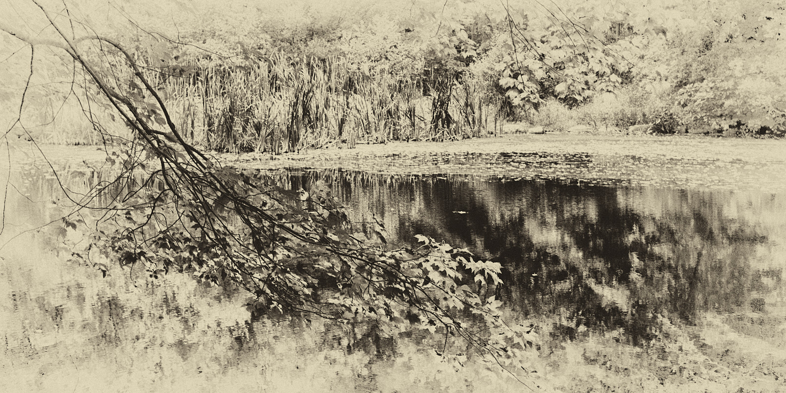 Pictorialism Redux - Joanne Mason Photography