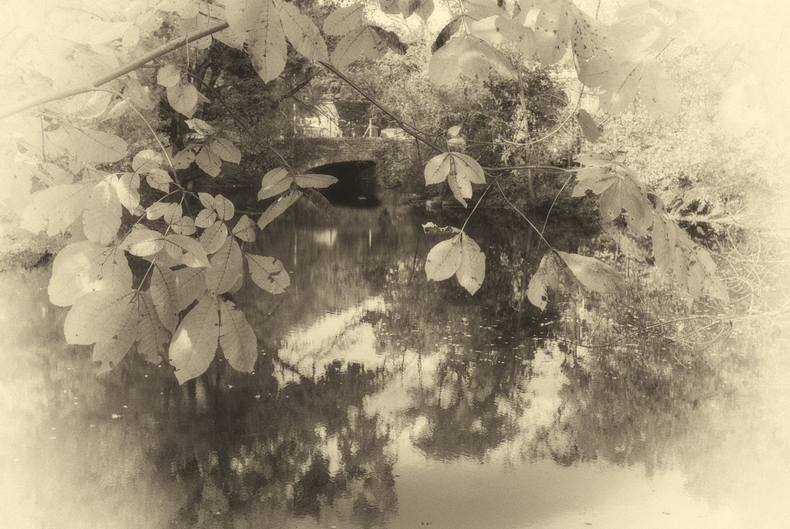 Pictorialism Redux - Joanne Mason Photography